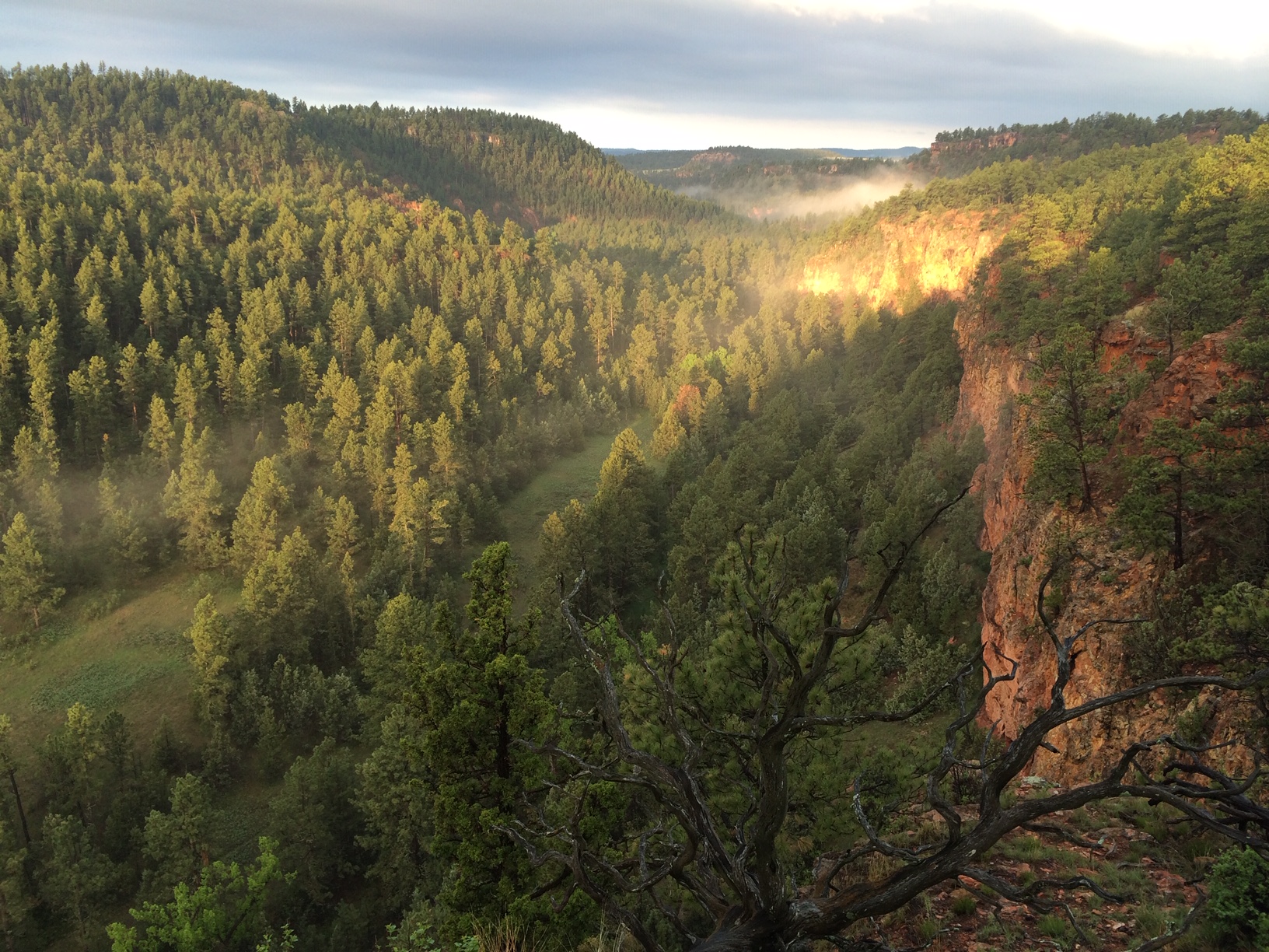 Canyon Rim Ranch Archives - Black Hills